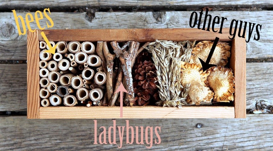 Beneficial Bug Hotel Workshop – Central Shenandoah Valley Master Gardeners